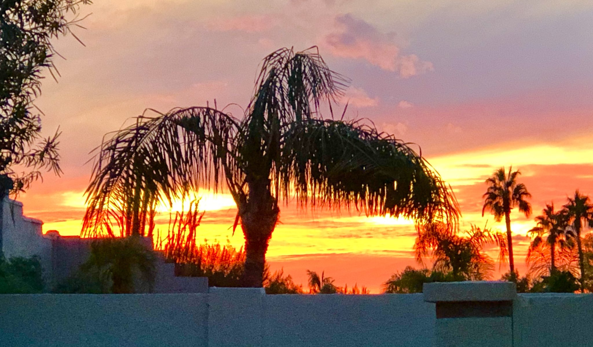 Summer in Phoenix, AZ - Renner Writes Summer in Phoenix, AZ